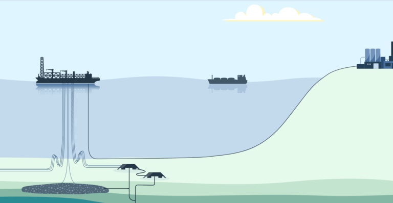 Raia FPSO Project In Brazil By NWE